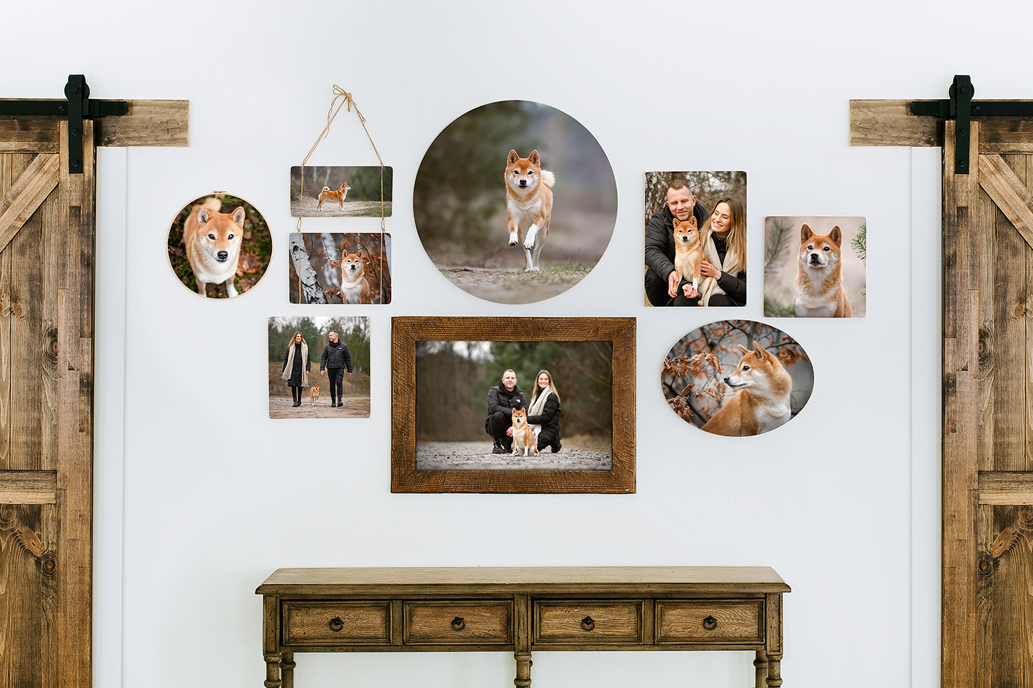 Freundschafts-Shooting mit Shiba Inu Piña - felicia-harms.de